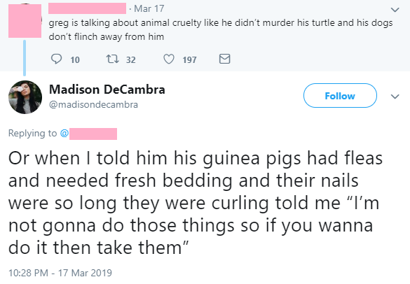 File:MadisonGuineaPigs2019.png - Life of Onion