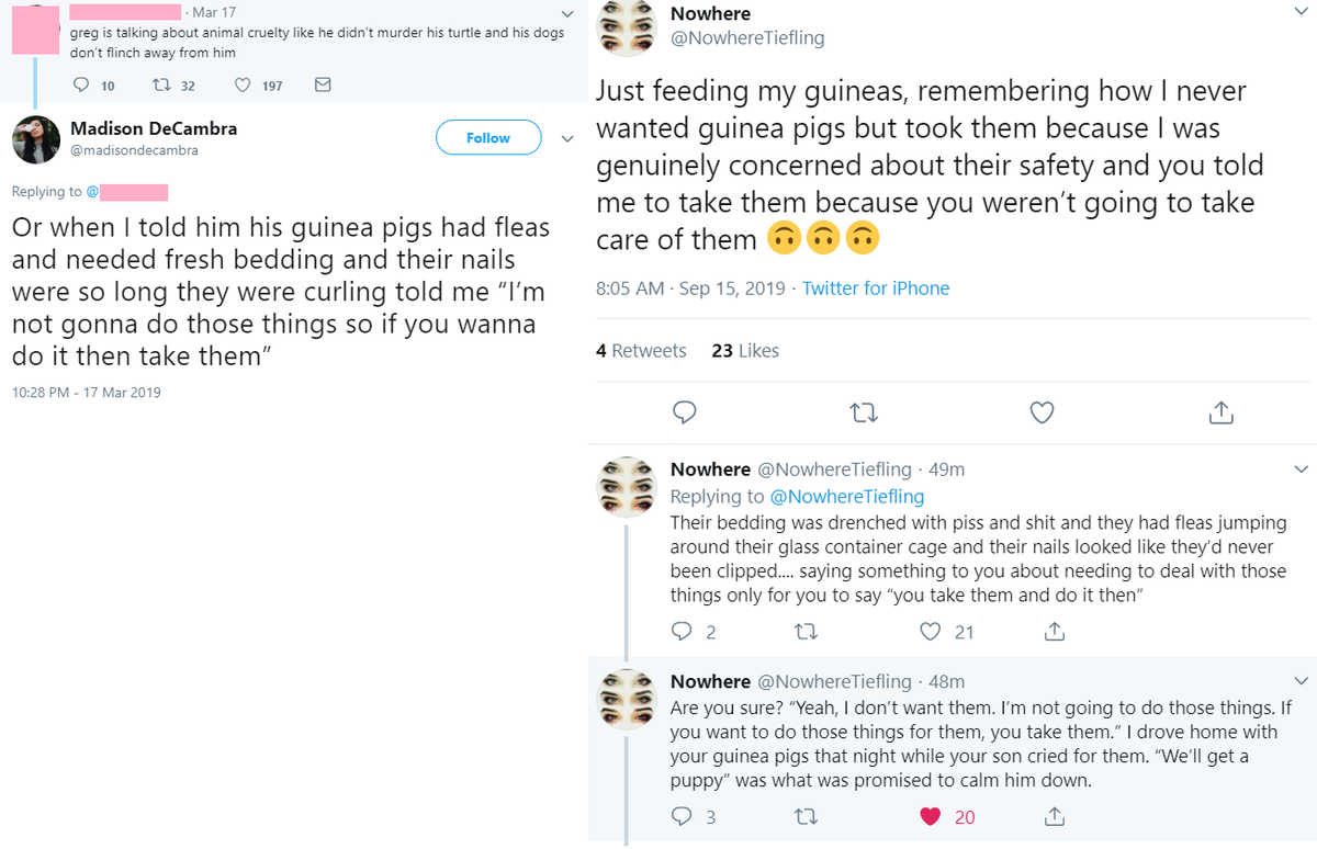 File:MadisonGuineaPigs2019.png - Life of Onion